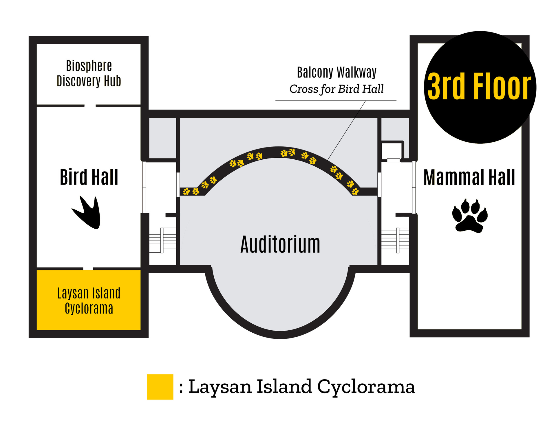 Laysan Island Cyclorama | University of Iowa Museum of Natural History ...